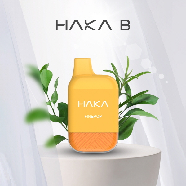 하카코리아, 일회용 액상 전자담배 ‘HAKA B’ 출시 예정 - 세계일보